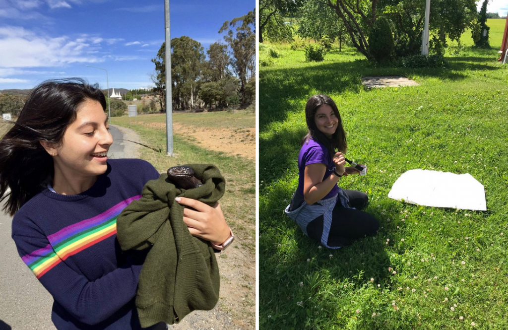 Space invaders and their success: meet Zoe - UNSW STEMM Champions ...